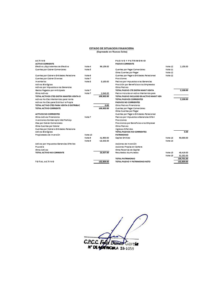 Eeff y Notas Eeff 2024_revic Selva Ingenieros Eirl | PDF | Estado financiero | Contabilidad