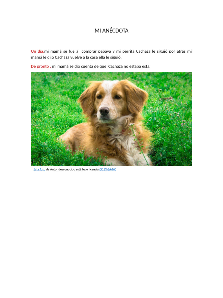 MI ANÉCDOTA 3 Grado D | PDF