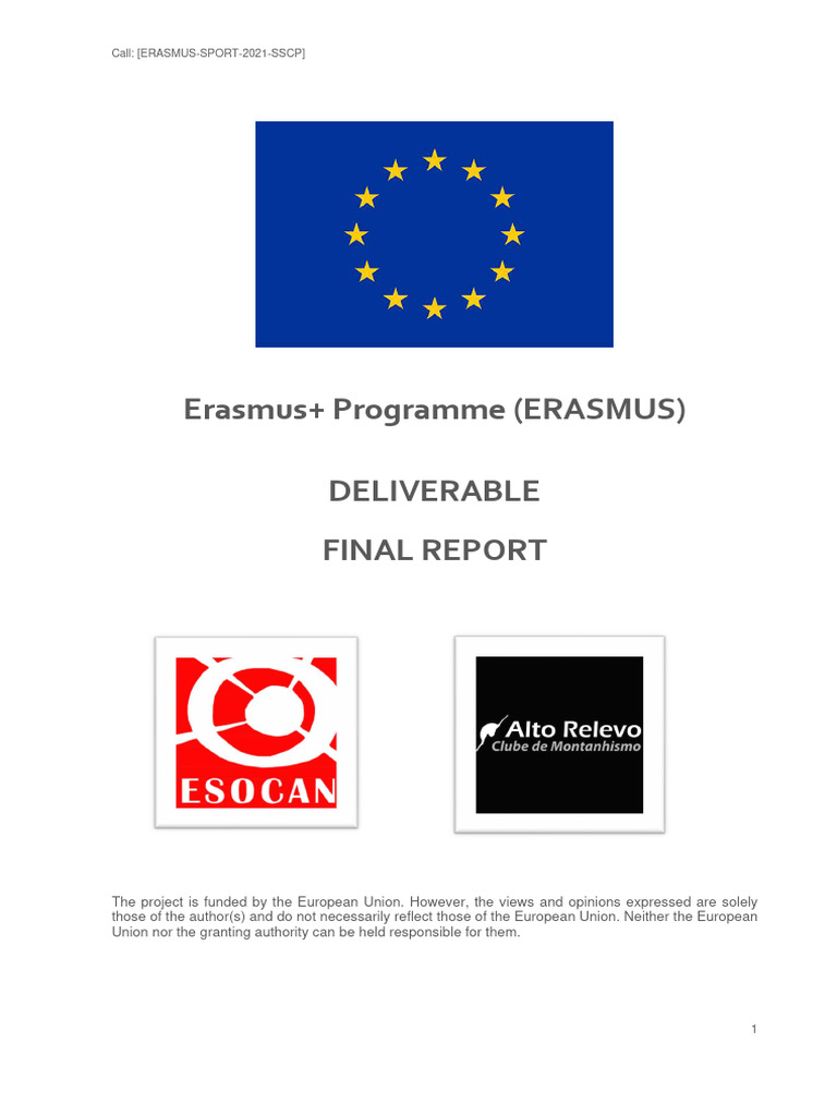 Informe Final | PDF | Knowledge | Disability