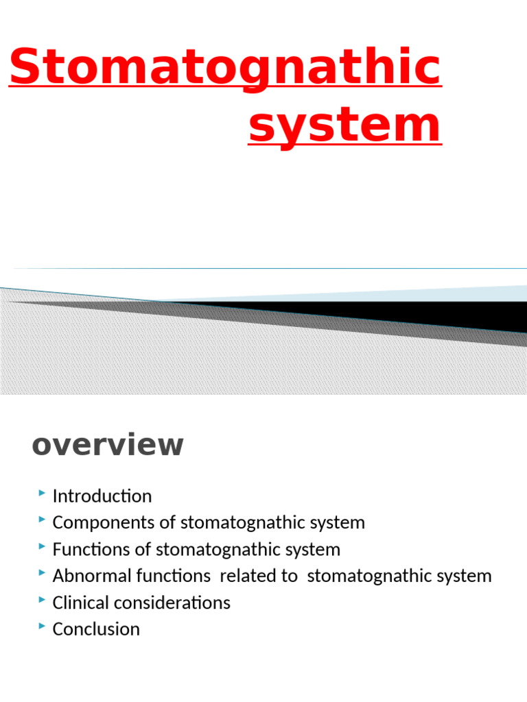 Stomatognathic System | PDF | Esophagus | Tongue