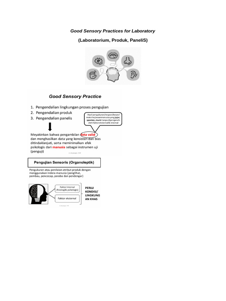 Effective Sensory Practices in Labs | PDF