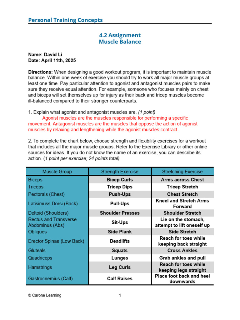 Muscle Balance in Personal Training | PDF | Musculoskeletal System ...
