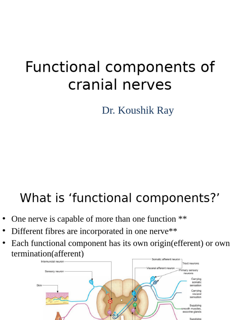 Functional Components of Cranial Nerves | PDF | Human Anatomy | Nervous ...