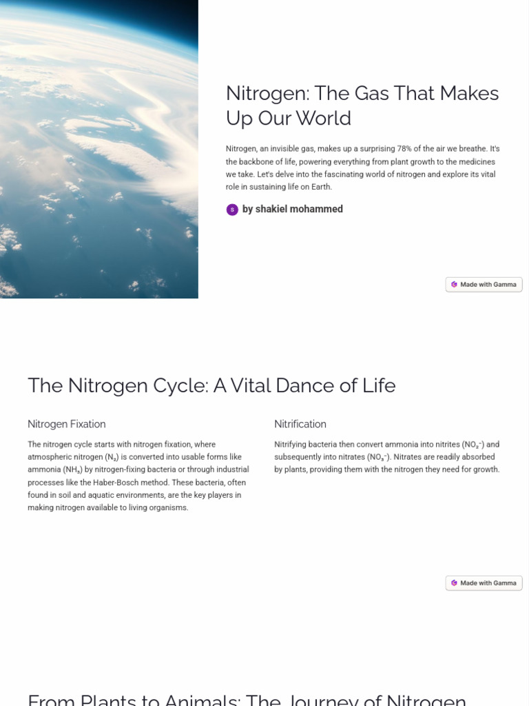 Nitrogen The Gas That Makes Up Our World | PDF | Nitrogen | Biology