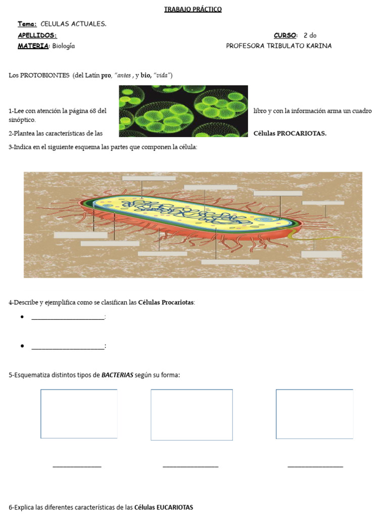 Tp-2do-N-8-Celulas Actuales | PDF