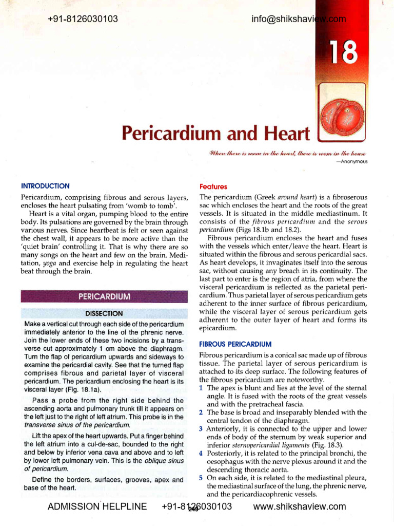 Anatomy of the Pericardium and Heart | PDF | Heart Valve | Atrium (Heart)