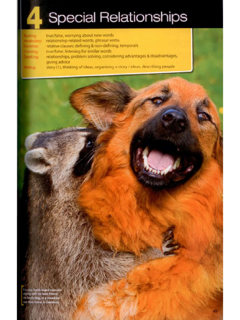 Close Up Unit 4 | PDF