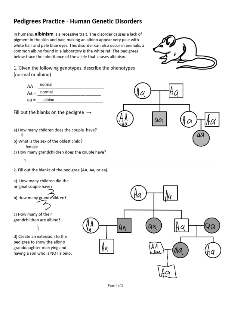 Kami Export - GIOVANNI MURO - Pedigrees Practice - Human Genetic ...