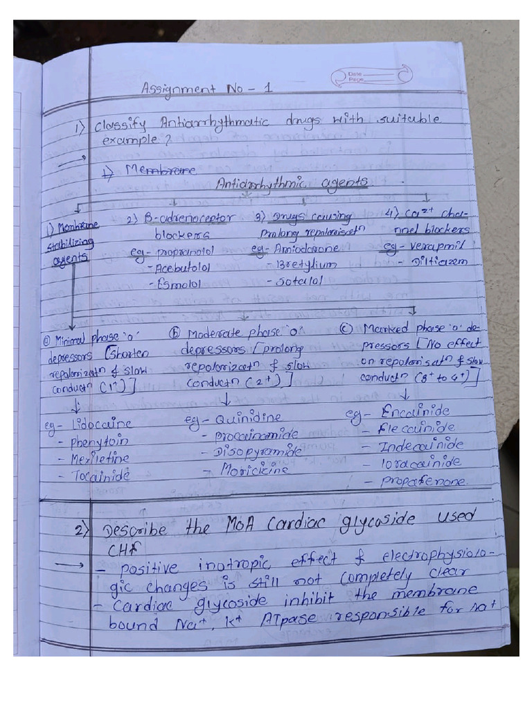 Pharmacy Assignment Cology | PDF