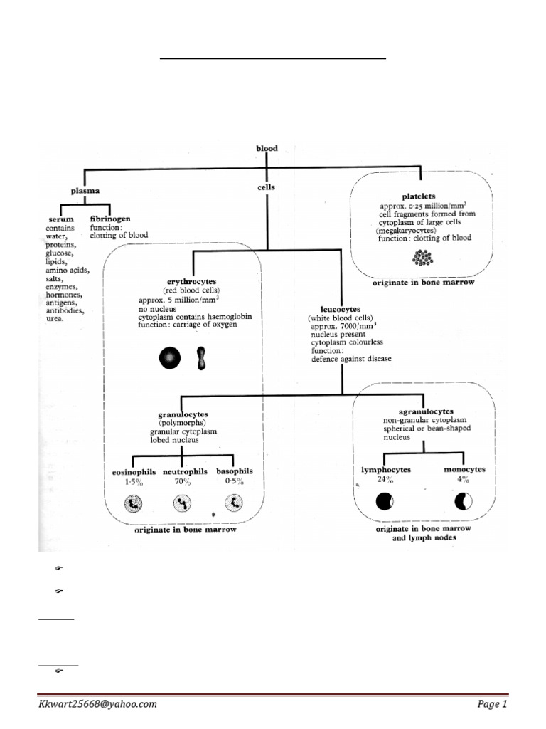 Transport in Mammals PDF | PDF | Circulatory System | Heart