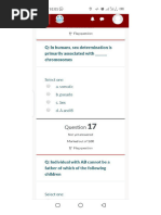 African Language Families Overview | PDF | Languages Of Africa ...