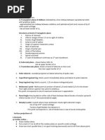 Abdominal Examination Checklist | PDF | Abdomen | Anatomy