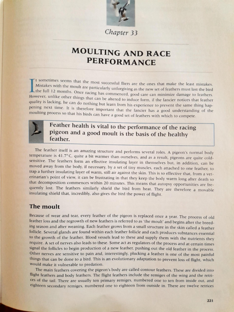 The Moult From Flying Vet | PDF | Feather | Birds