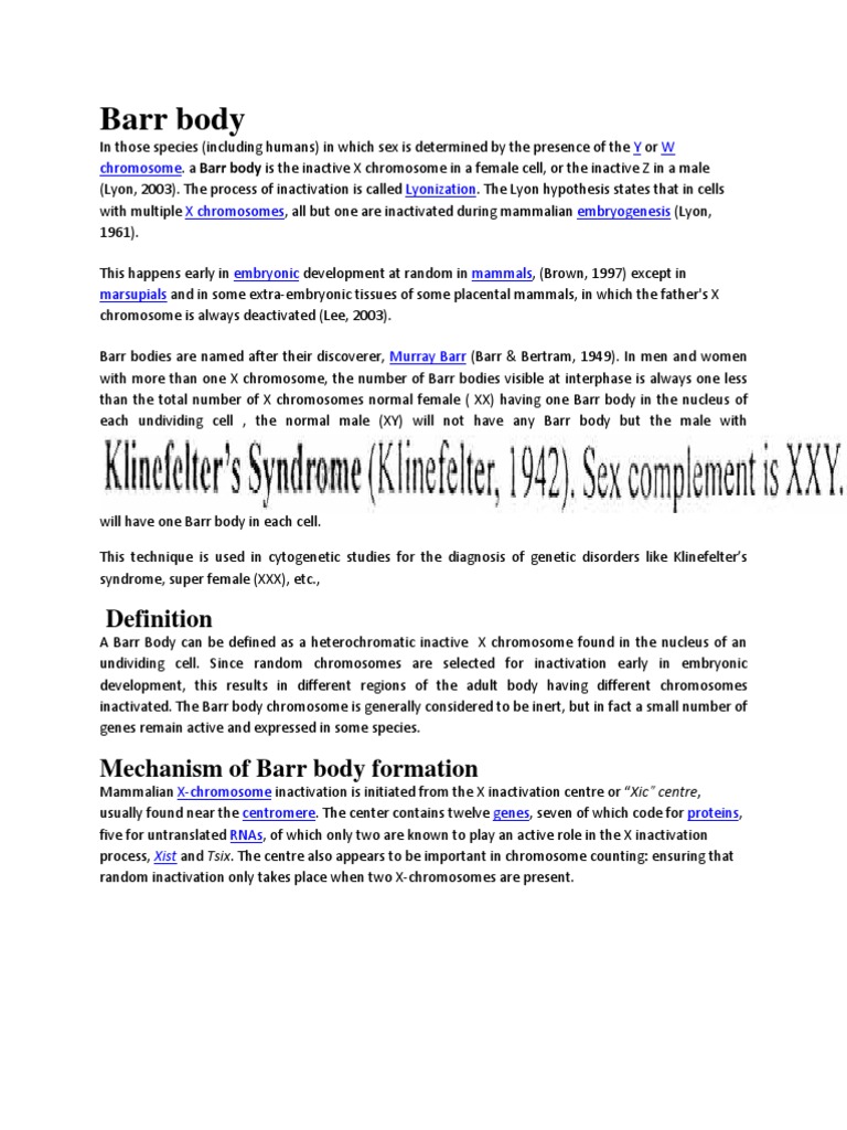 Barr Body | PDF | Zoology | Cell Biology