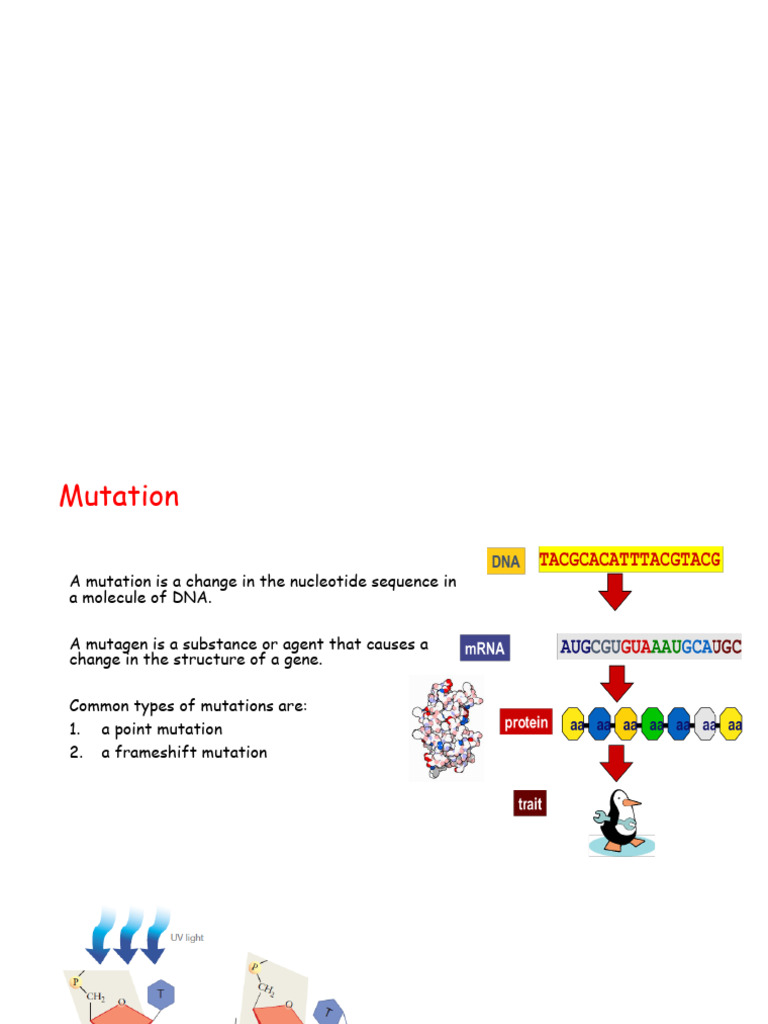 Mutation and Genetic Diseases | PDF