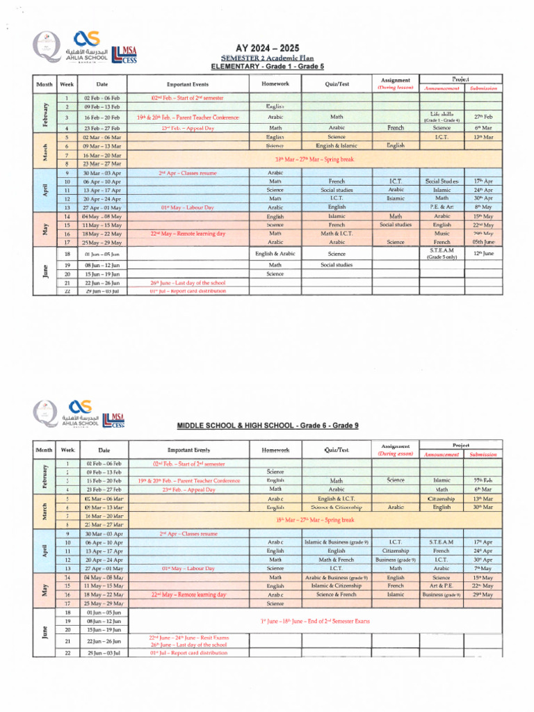 Academic Plan-Sem 2 AY 2024-25 | PDF