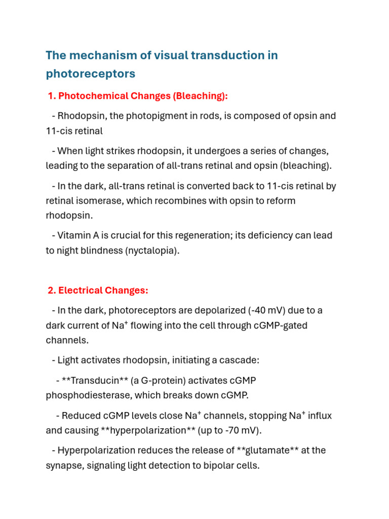 The Mechanism of Visual Transduction in Photoreceptors: 1. Photochemical Changes (Bleaching) | PDF