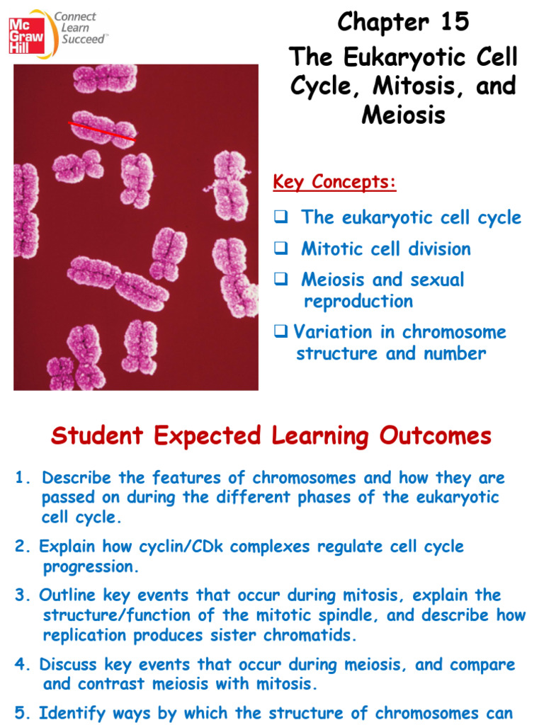 Said Sif - Chapter 15 - Lecture PPT - 50V3 - NA | PDF | Mitosis | Meiosis