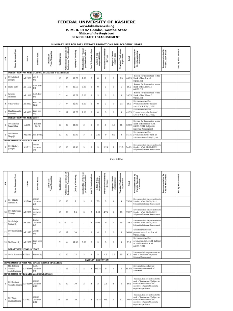 2025 Promotion Template For Academic Staff | PDF | Lecturer | Academia
