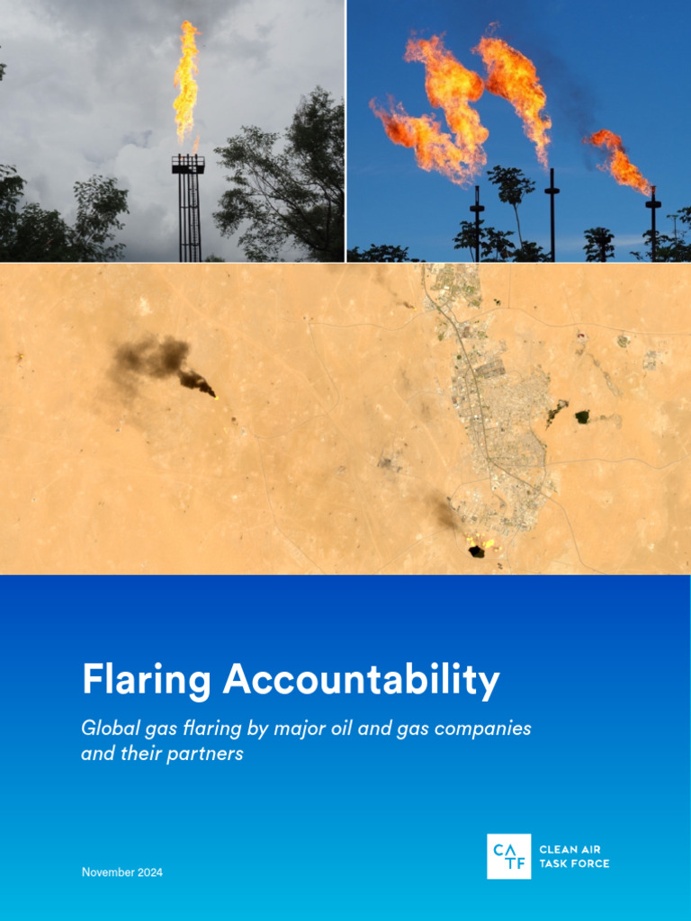 Flaring Accountability | PDF | Natural Gas | International Energy Agency