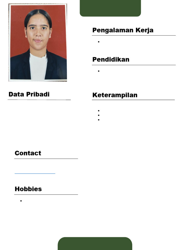 CV_TEMPLATE_Abin | PDF