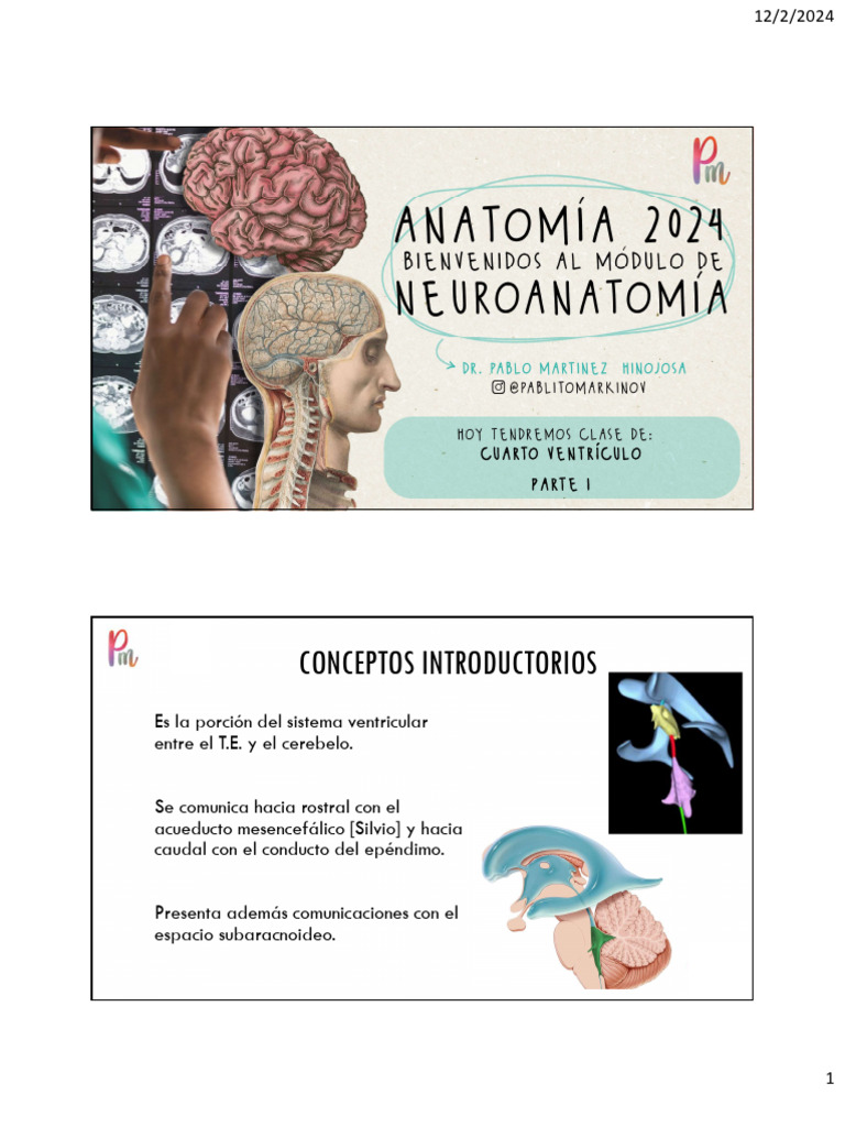 Cuarto Ventriculo Parte 1 1709386494252 | PDF