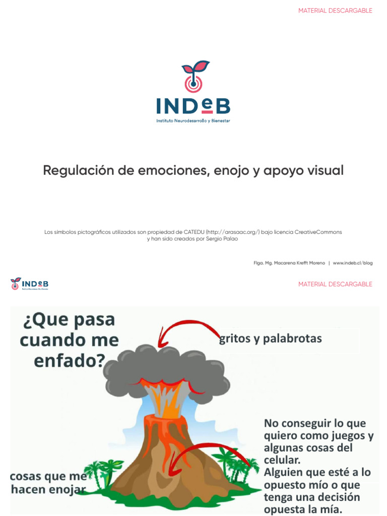 Manejo del Enojo y Técnicas de Calma | PDF | Ira