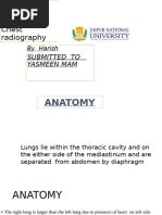 Apical Lordotic Chest X-Ray Positioning | PDF | Thorax (Human Anatomy ...