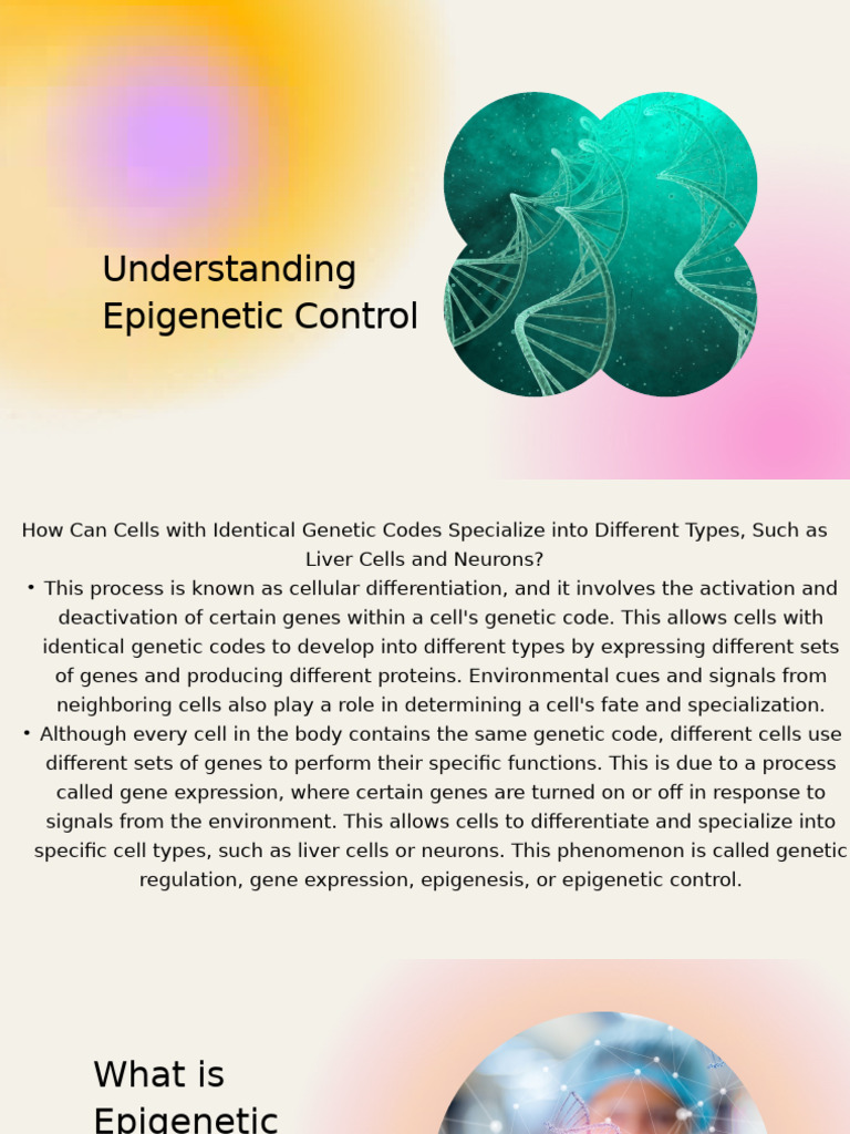 Gene Expression and Epigenesis - Presentation | PDF | Epigenetics | Gene