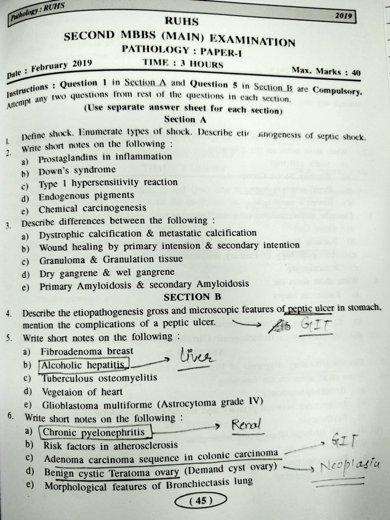 Pathology Past Year | PDF