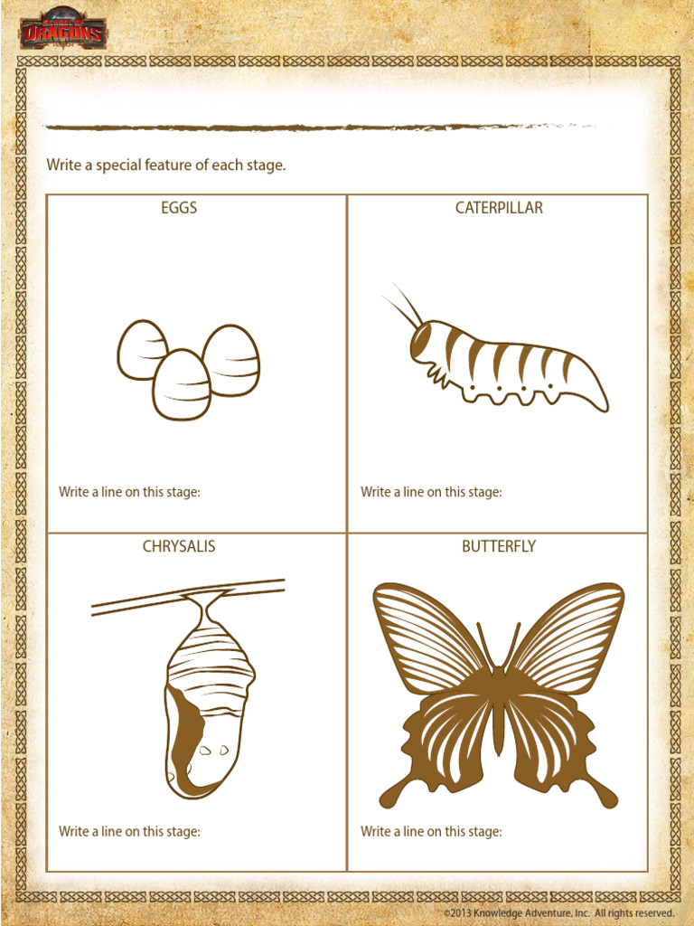 Life of A Butterfly | PDF