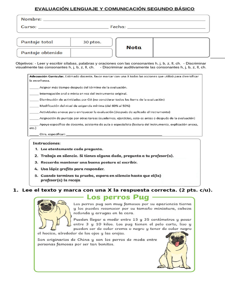 PRUEBA SEGUNDO BÁSICO LENGUAJE | PDF
