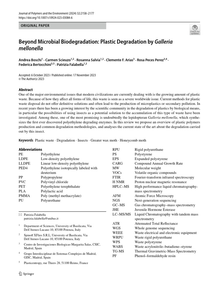s10924-023-03084-6 | PDF | Biodegradation | Plastic