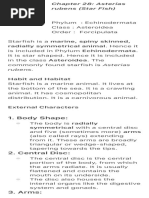 Chordata Clasification Chart | PDF | Vertebrates | Fish