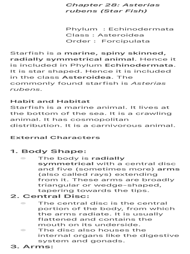 Asterias rubens: Anatomy and Habitat | PDF | Senses | Digestion