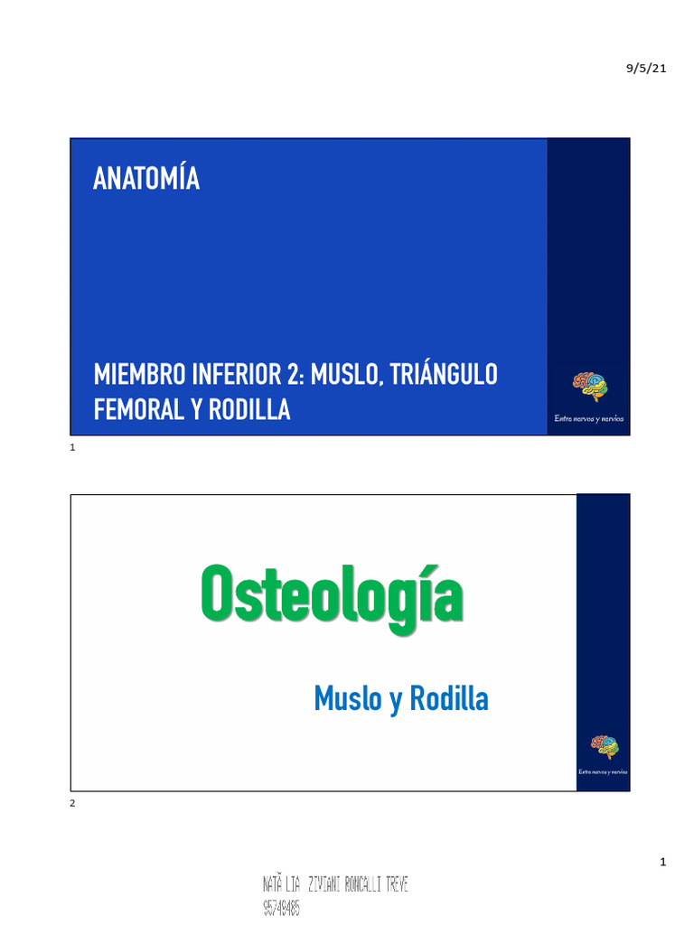 Anatomía del Muslo y Rodilla | PDF | Rodilla | Anatomía humana
