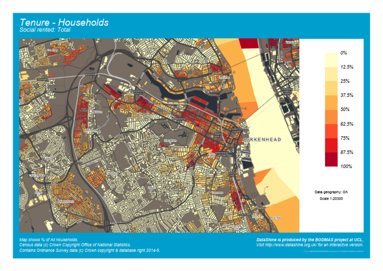 Datashine Census Map | PDF