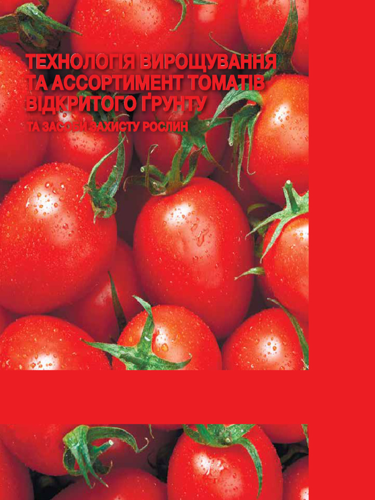 Tomato Tex | PDF