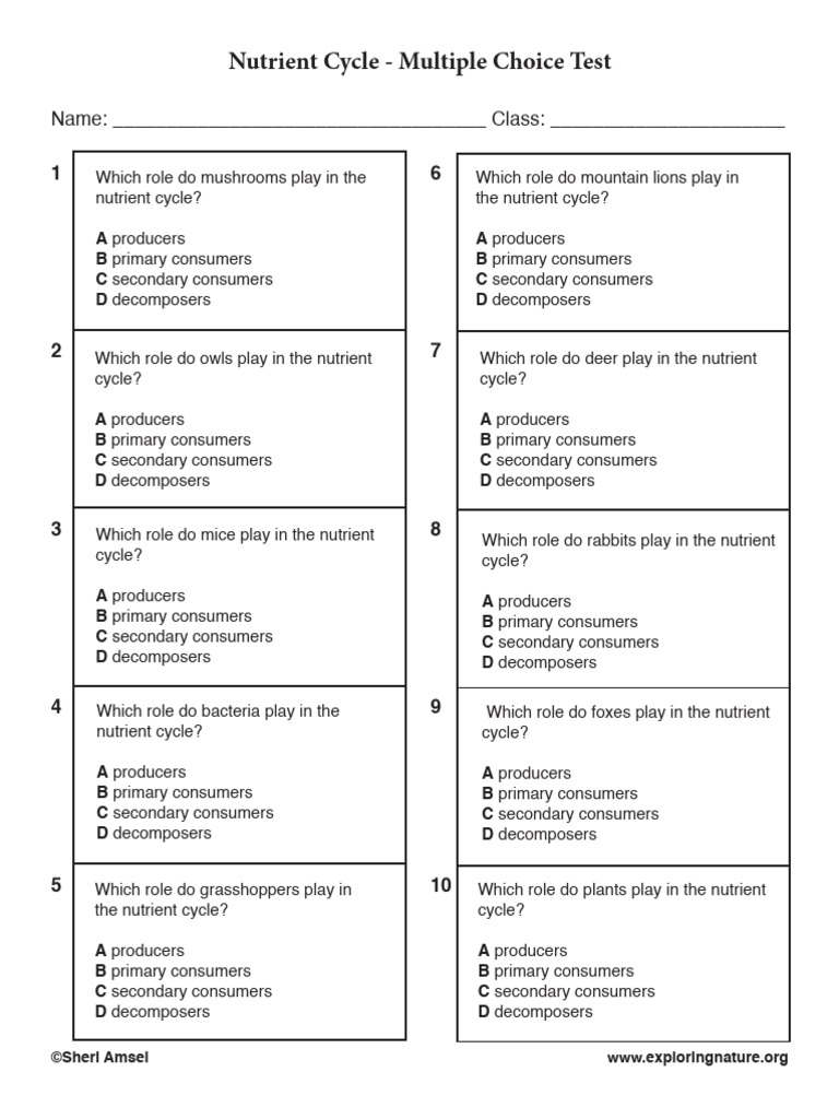 Nutrient Cycle Roles Quiz | PDF