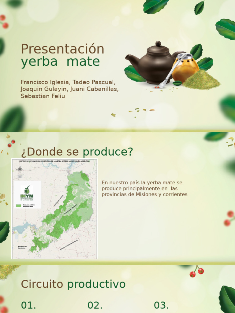 Presentación Yerba Mate | PDF