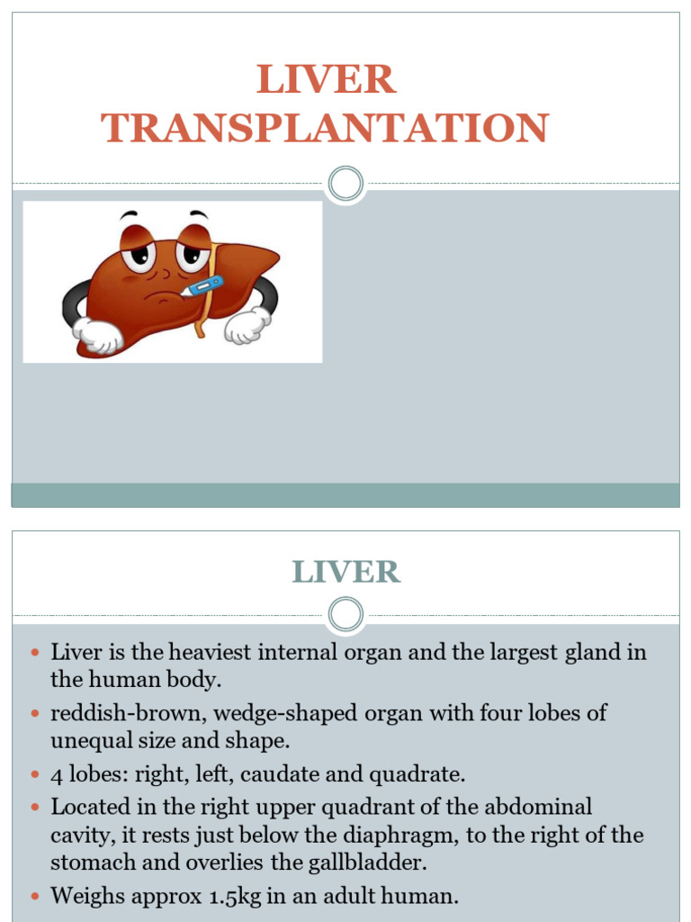 Liver Transplantation Overview | PDF | Liver | Organ Transplantation