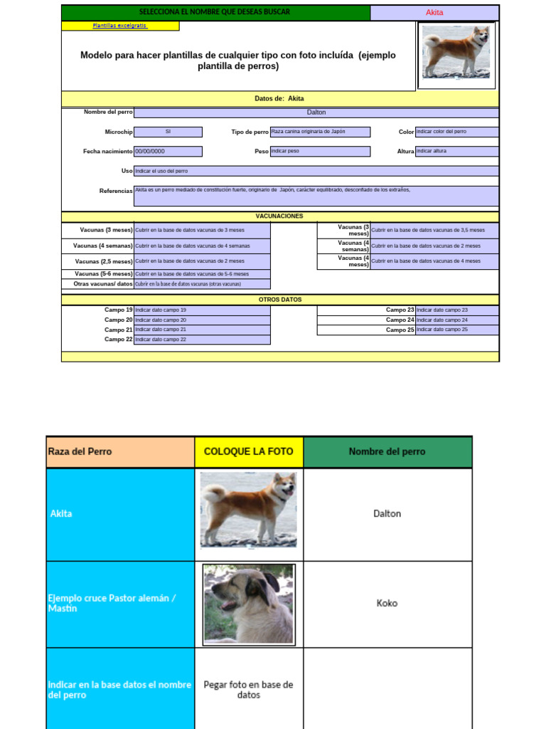 Plantilla de Vacunación para Perros | PDF | Perros | Razas de perros