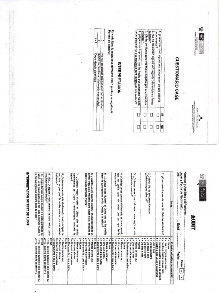 Cage y Audit(Intr) | PDF