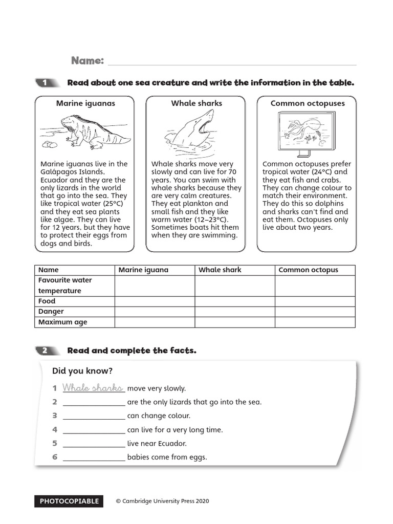 Guess What - 5 - AE - Unit 3 - Vocabulary - Worksheet - Extra | PDF