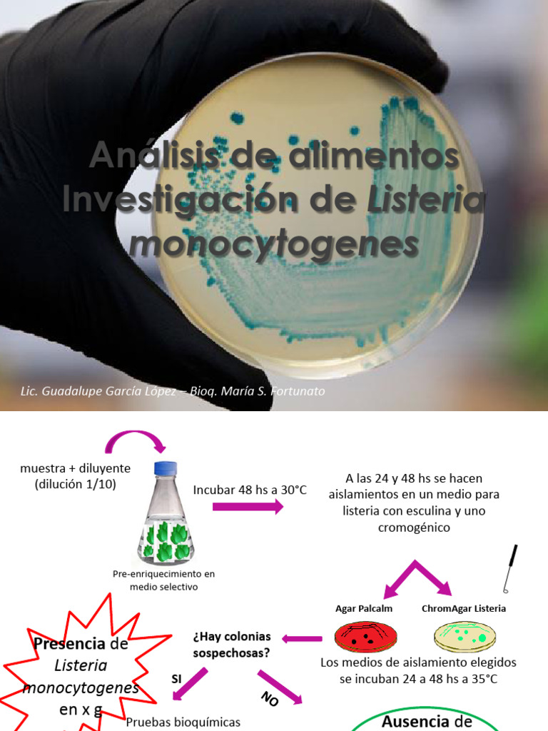 Análisis de Listeria monocytogenes en Alimentos | PDF