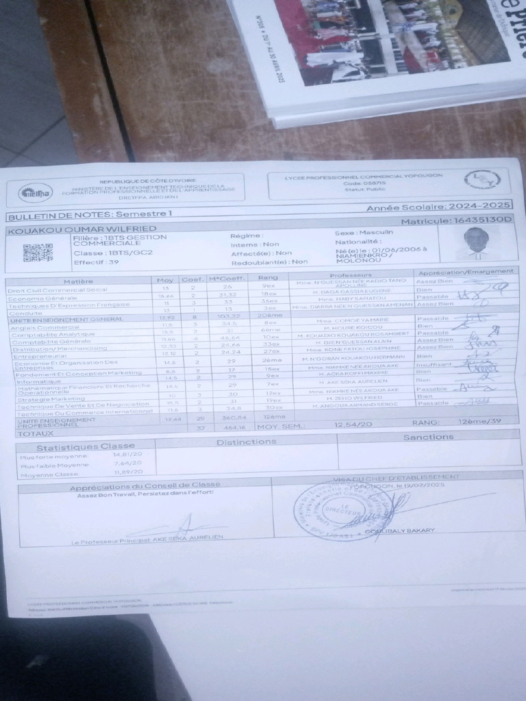 PDF Phoenix 20250412 131106 | PDF