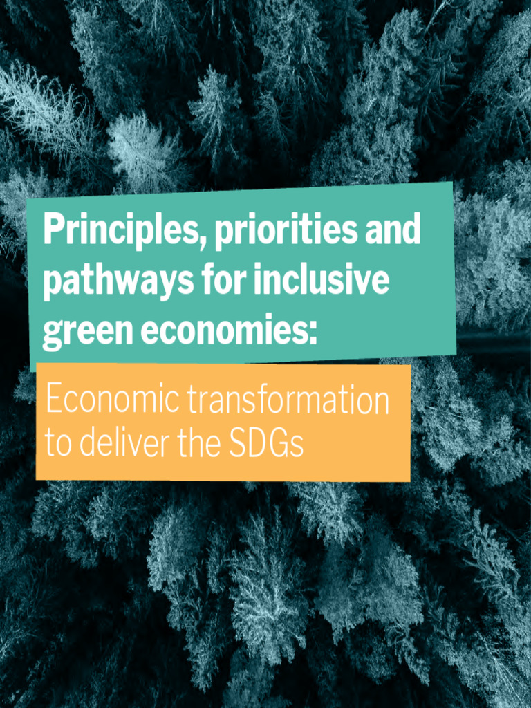 Inclusive Green Economy Principles for SDGs | PDF | Sustainability ...