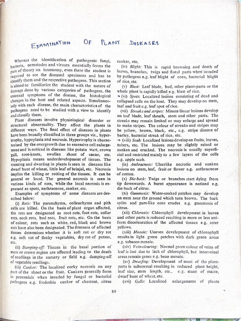 Examination of plant diseases pp-506 | PDF