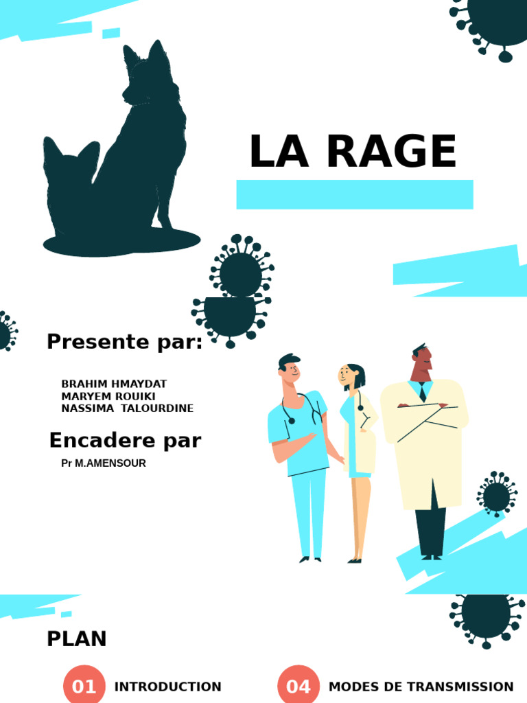 LA RAGE S4 labo [1] | PDF | Virus | Rage (maladie)