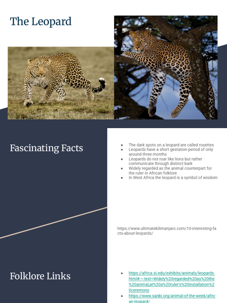 Leopards Presentation | PDF